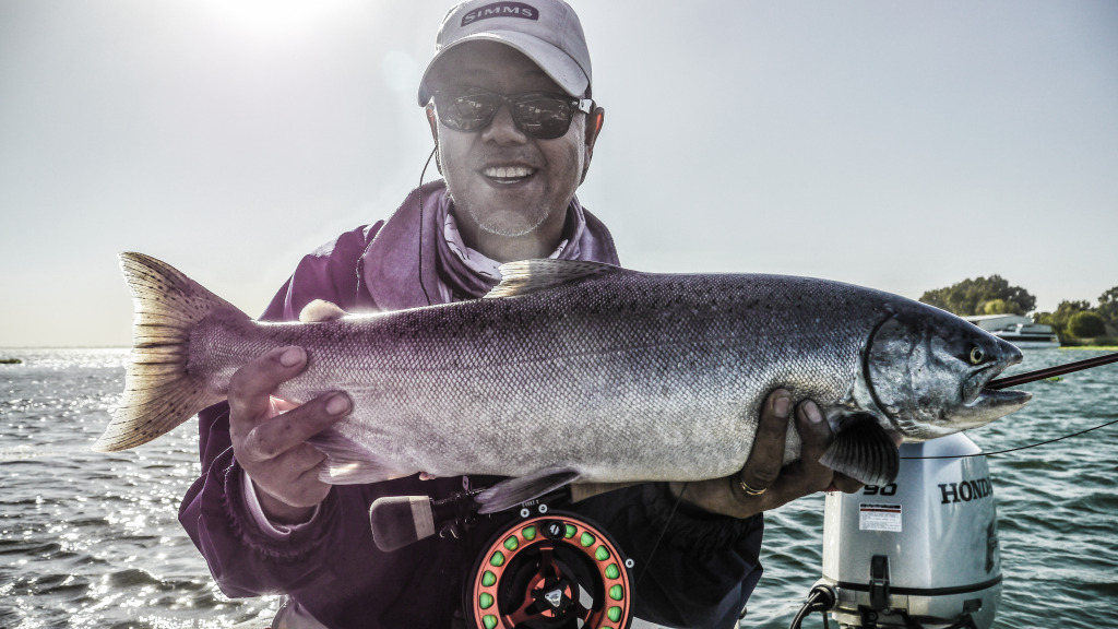 A rare Delta Salmon | Carablogi.com